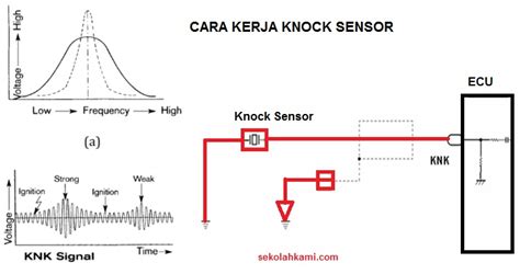Mengenal Knock Sensor Fungsi Dan Cara Kerja Teknik Otomotif