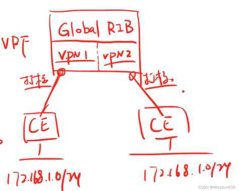 第十六天 Mpls Vpnandvrf 技术原理与配置 Csdn博客