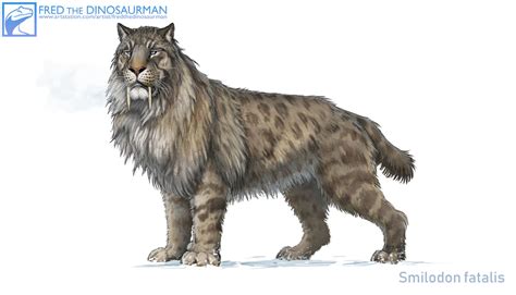 Smilodon Fatalis Artstation Smilodon Fatalis