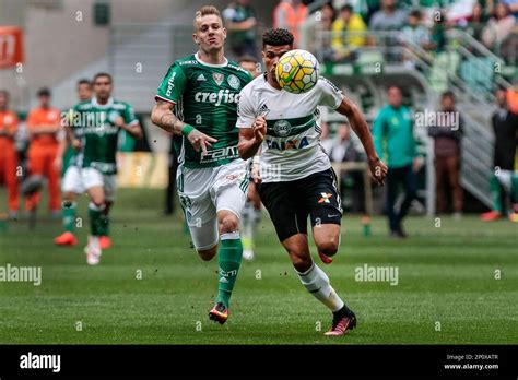 SAO PAULO SP BRASILEIRO PALMEIRAS X CORITIBA Roger Guedes Do Palmeiras Em