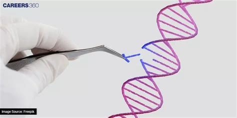 Genetic Engineering Definition Techniques And Real World Applications