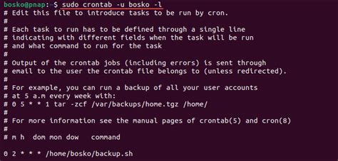 How To List Display View All Current Cron Jobs In Linux