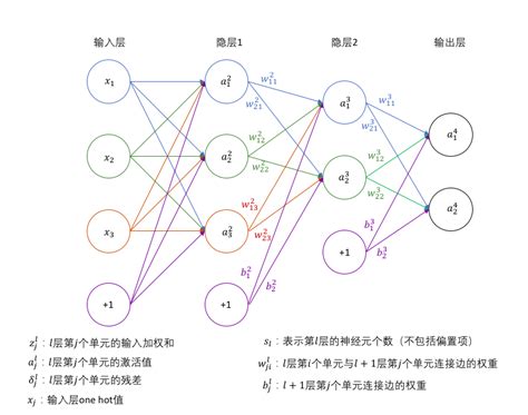 Mlp反向传播 一只热爱物理与算法的汪