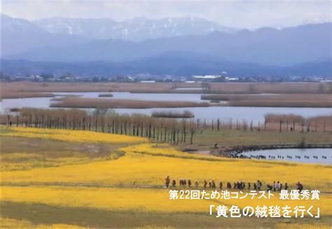 イベント情報 水土里ネット静岡