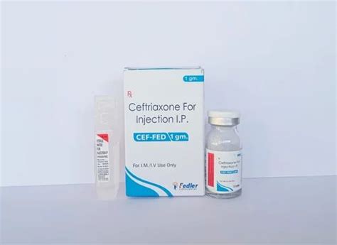 Cef Fed Ceftriaxone 1gm At ₹ 67 Vial Ceftriaxone Injection In