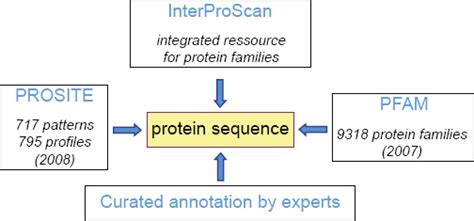 Bioinformatics Tools For Prediction Of Cell Wall Protein Functional