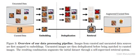 dinov2：mate出品的自监督预训练图像编码器 dinov2 learning robust visual features