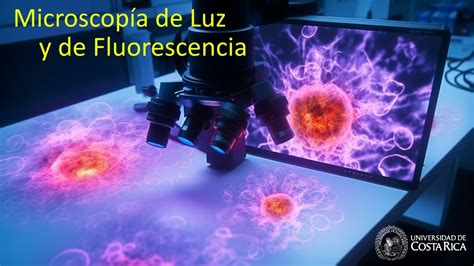 Microscopía De Luz Y De Fluorescencia Facultad De Microbiología