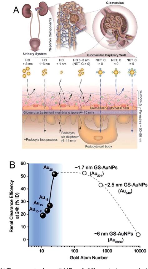 Figure 23 From Photoelectrocatalysis And Photosensitization Using