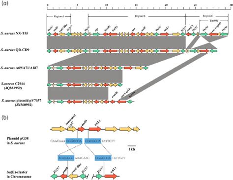 Structural Comparison Of The Lsae Cluster A Comparative Structural Download Scientific