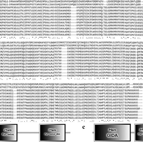 a multiple sequence alignment of dlds from vibrio spp the genbank
