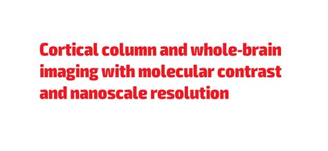 Cortical Column And Whole Brain Imaging With Molecular Contrast And