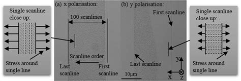 Top View Of Bessel Beam Written Waveguide With Laser Linearly Polarised Download Scientific
