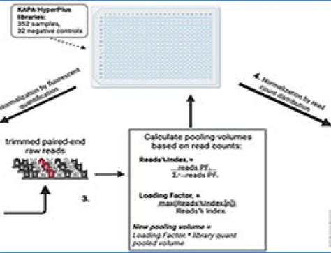 SCBN A Statistical Normalization Method And Differential Expression Analysis For RNA Seq Data