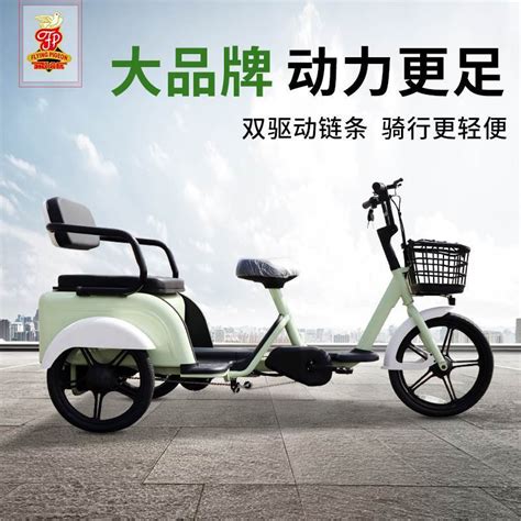 【廠家直銷】飛鴿電動三輪車休閑車家用小型成人腳蹬代步三輪電瓶車接送孩子新 蝦皮購物