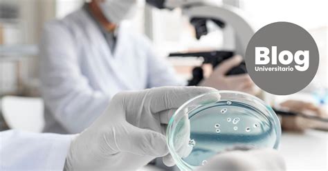 ¿por Qué Estudiar Laboratorio Clínico Universidadescr
