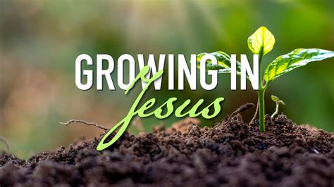 Growing In Jesus Evangelism Explosion Ee International
