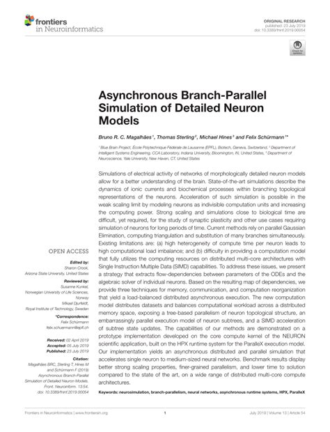 Pdf Asynchronous Branch Parallel Simulation Of Detailed Neuron Models