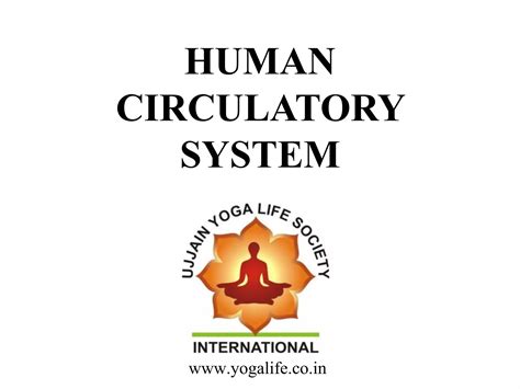 Human Circulatory System Ppt