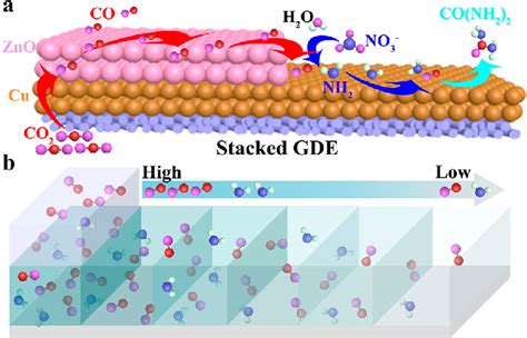 Concept Of Urea Synthesis On Stacked Tandem Gde A Schematic