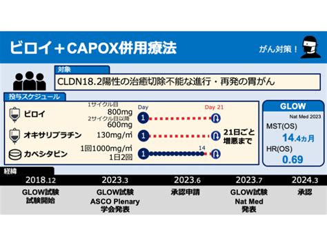 日本がん対策図鑑 【レジメン図鑑】ビロイ＋capox（胃がん）