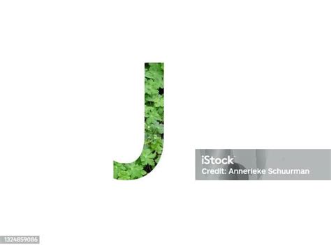 흰색 배경에 고립 된 제라늄의 녹색 문자로 만든 알파벳의 문자 J 0명에 대한 스톡 사진 및 기타 이미지 0명 기후 변화
