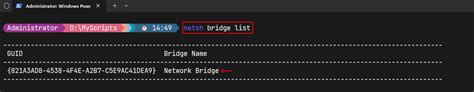 Programmatically Create A Network Bridge In Windows
