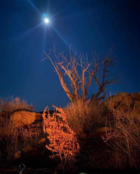 지영 광고 좋아하는 버거중 하나인 슈퍼두퍼 코엑스 스타필드점 3호점 오픈소식에 지난주말에 다녀와봤어요🍔 샌프란시스코를 대표하는 수제버거 슈퍼두퍼