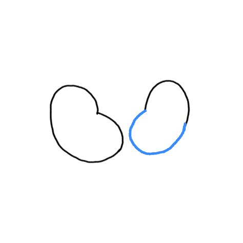 How To Draw Broad Beans Step By Step Easy Drawing Guides Drawing Howtos