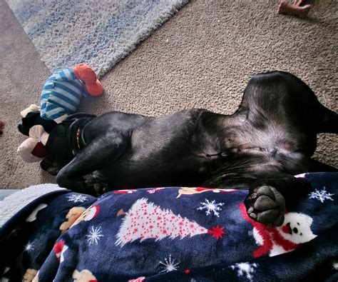 Passed Out Playing 🤭🤭 Rcanecorso