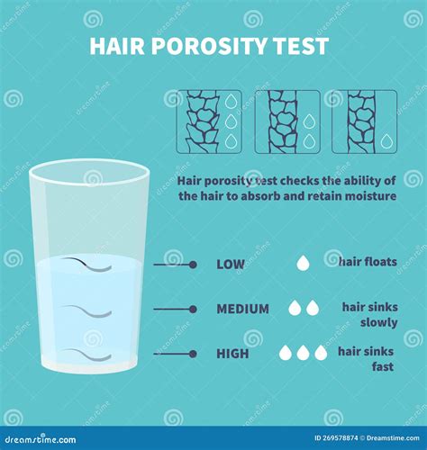 Hair Porosity Types Chart Of Low Normal High Porous Strand Vector