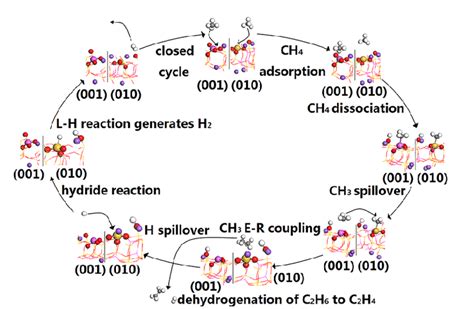 Schematic Diagram Of The Path For Activation And Conversion Of Ch4 By