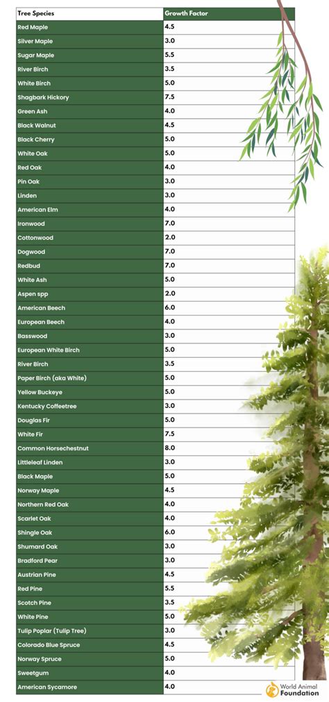 Tree Age Calculator Determine The Lifespan Of Your Trees