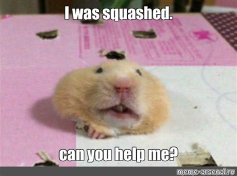 Meme I Was Squashed Can You Help Me All Templates Meme
