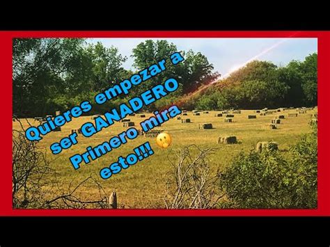 Guía completa para establecer un negocio ganadero con éxito