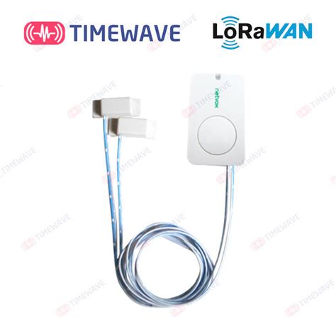 Wireless Environmental Monitoring Sensor LoRa Smart IOT Water Immersion Detector