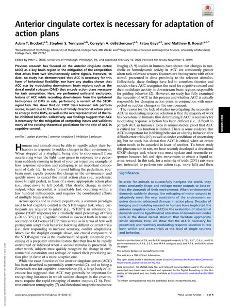 Pdf Anterior Cingulate Cortex Is Necessary For Adaptation Of Action Plans