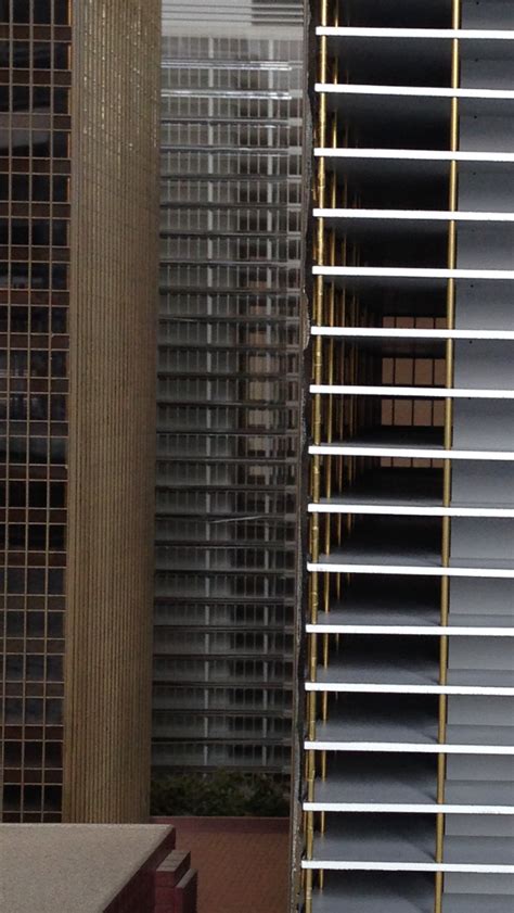 Primary Structure Model Detail