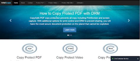 When To Copy Protect PDF Documents Using PDF Security Software