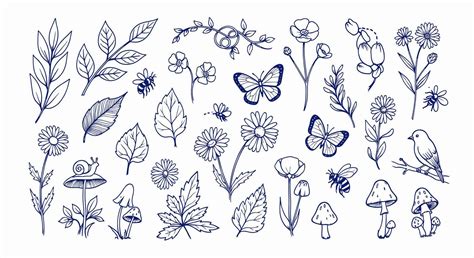 Whimsical Hand Drawn Botanical Illustration Collection Featuring