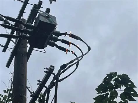 淡水電線桿突爆炸亮火光！路過駕駛見狀急閃 松鼠誤觸被燒成焦屍 社會萬象 要聞 Nownews今日新聞
