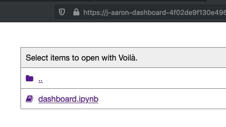 Create A Dashboard With Voila Saturn Cloud