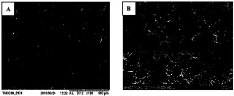 A Kind Of Interpenetrating Network Structure Silk Fibroin Hydrogel And
