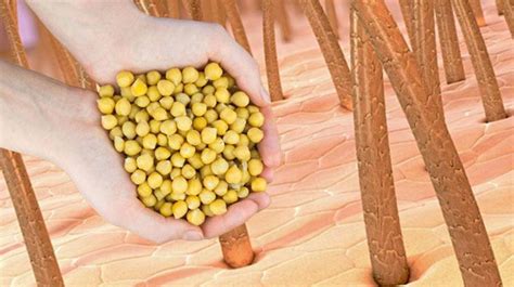 İstenmeyen Tüylere Nohut çözümü Ağda Cımbız Ve Jilete Gerek Kalmıyor Güzellik