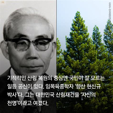 모두가 불가능하다했지만 한국이 해낸 일 네이버 포스트
