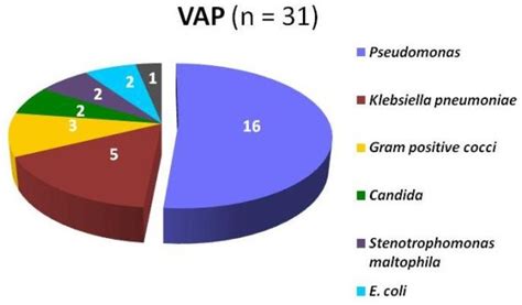 Pathogens Isolated In Icu Patients With Vap Gram Negative Predominated Download Scientific