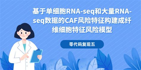 零代码复现 生信豆芽菜 专门做分析的生信平台