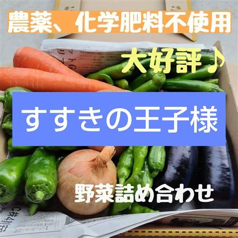 【新鮮で美味しい】農薬不使用 化学肥料不使用 野菜詰め合わせ 野菜セット 野菜 メルカリ