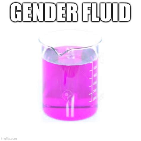 Gender Fluid Imgflip