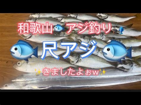 和歌山アジ釣り尺アジきましたぁ 30センチ 今シーズン初尺アジアジ大爆釣 YouTube